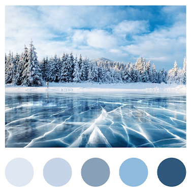 The Must Have Winter Colour Palette and Matches for 2021 - Mas Paints